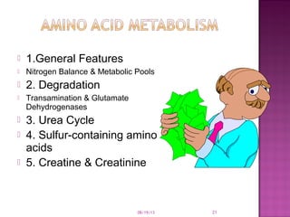 Amino acids | PPT