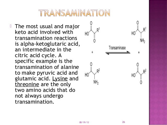 Amino acids