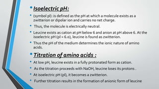 Amino acid | PPTX