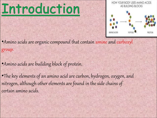 Amino acid | PPT