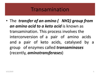 Amino acid | PPTX | Endocrine and Metabolic Diseases | Diseases and ...