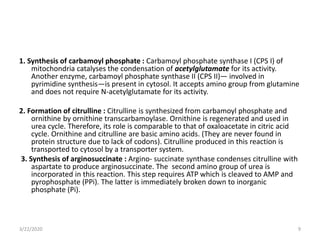 Amino acid | PPTX | Endocrine and Metabolic Diseases | Diseases and ...