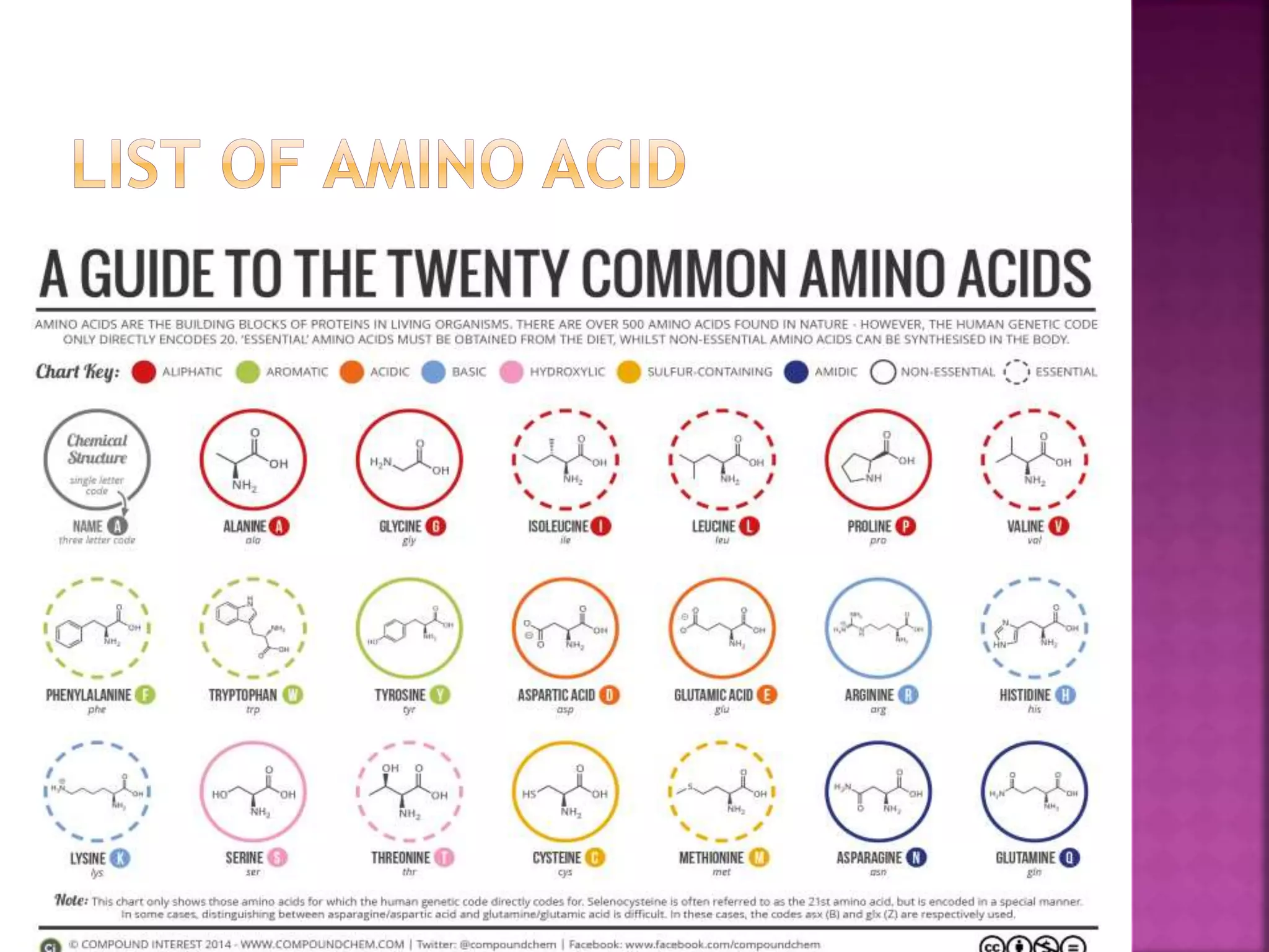 Amino acid | PPTX | Chemistry | Science