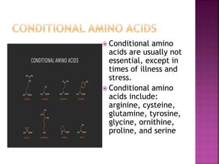 Amino acid | PPTX | Chemistry | Science