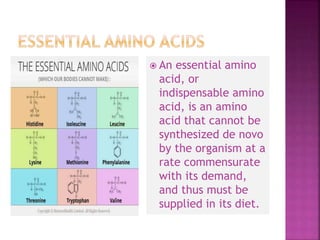 Amino acid | PPTX | Chemistry | Science