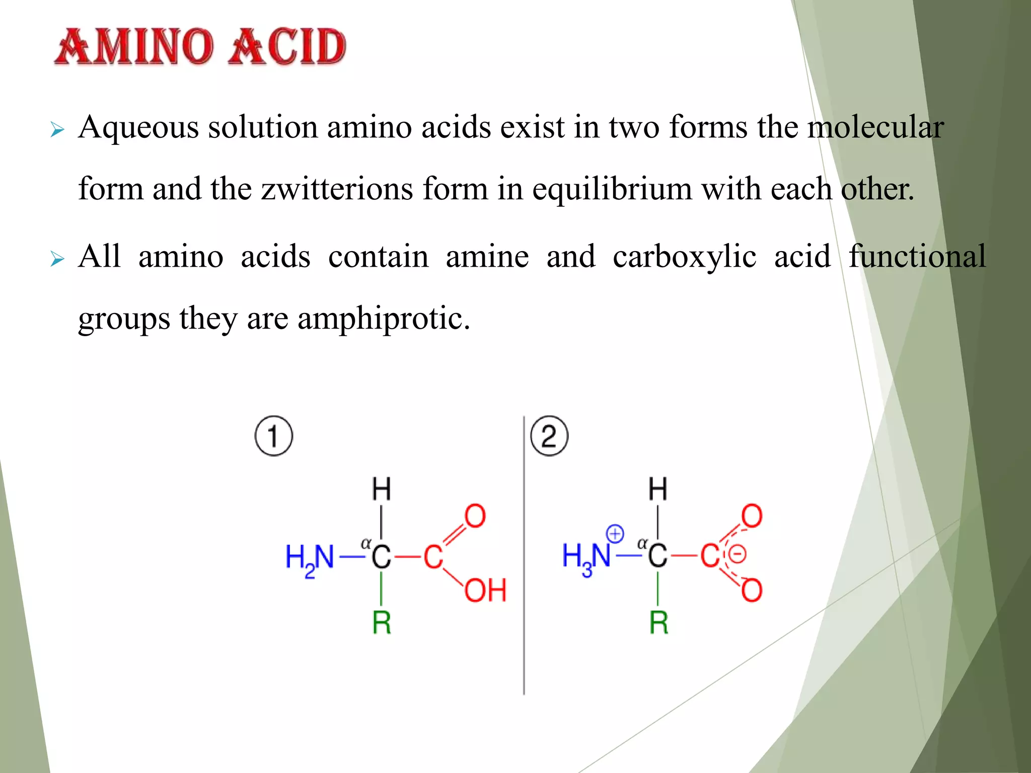 Amino acid | PPTX
