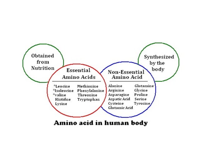 Proteins and Amino acid -: classification , structure,functions, physicochemical properties | PPT