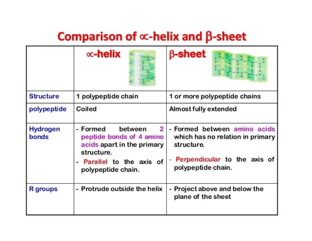 Proteins and Amino acid -: classification , structure,functions ...