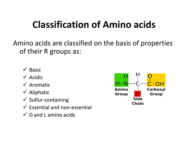 Proteins and Amino acid -: classification , structure,functions, physicochemical properties | PPT