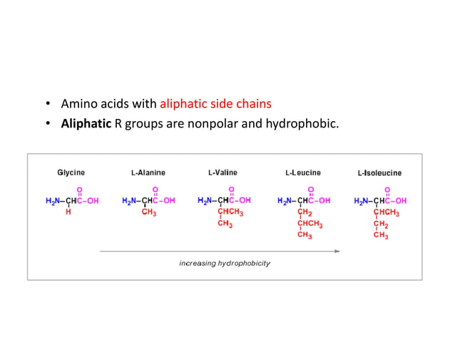 Proteins and Amino acid -: classification , structure,functions, physicochemical properties | PPT