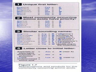 amino acid structure and classification.ppt