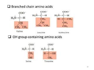 Amino acid. General introduction of amino acid and its classification | PPT
