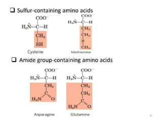 Amino acid. General introduction of amino acid and its classification | PPT