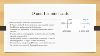 Amino Acid chemistry. 1st Year MBBS biochemistry | PPTX