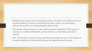 Amino Acid chemistry. 1st Year MBBS biochemistry | PPTX