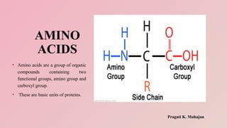 Proteins part-II Amino Acid D-pharm 2nd year | PPT