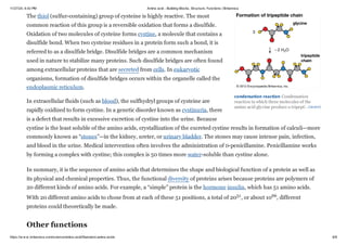 Amino acid - Building Blocks, Structure, Functions _ Britannica.pdf