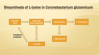 Amino acid - L-lysine.pptx