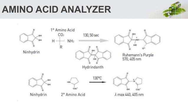 Amino acid Analyzer | PPTX | Chemistry | Science