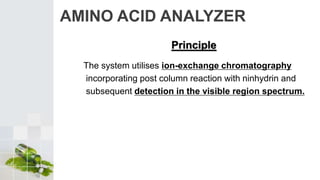 Amino acid Analyzer | PPTX
