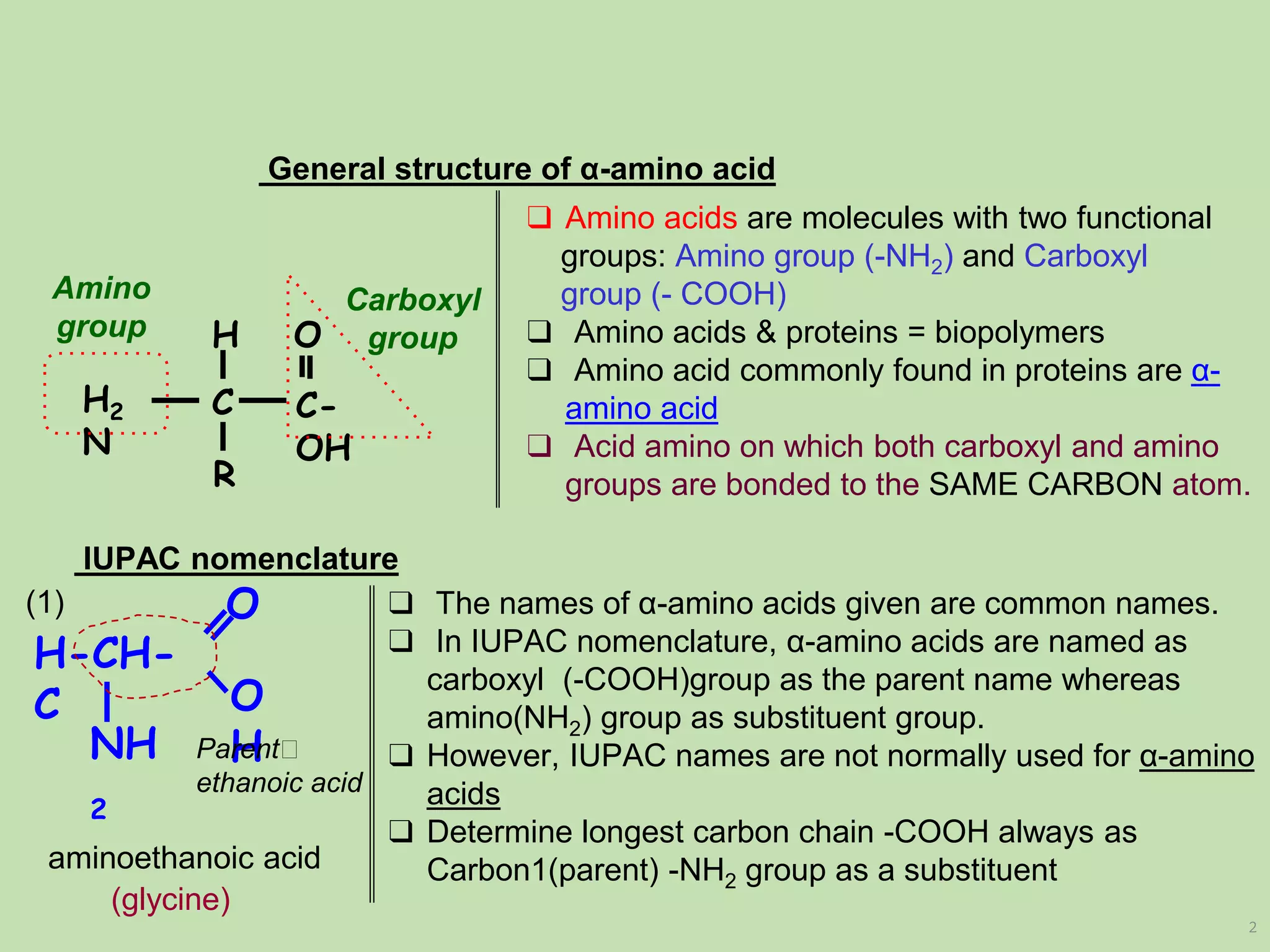 Amino acid 12 .1 dec20 | PPTX