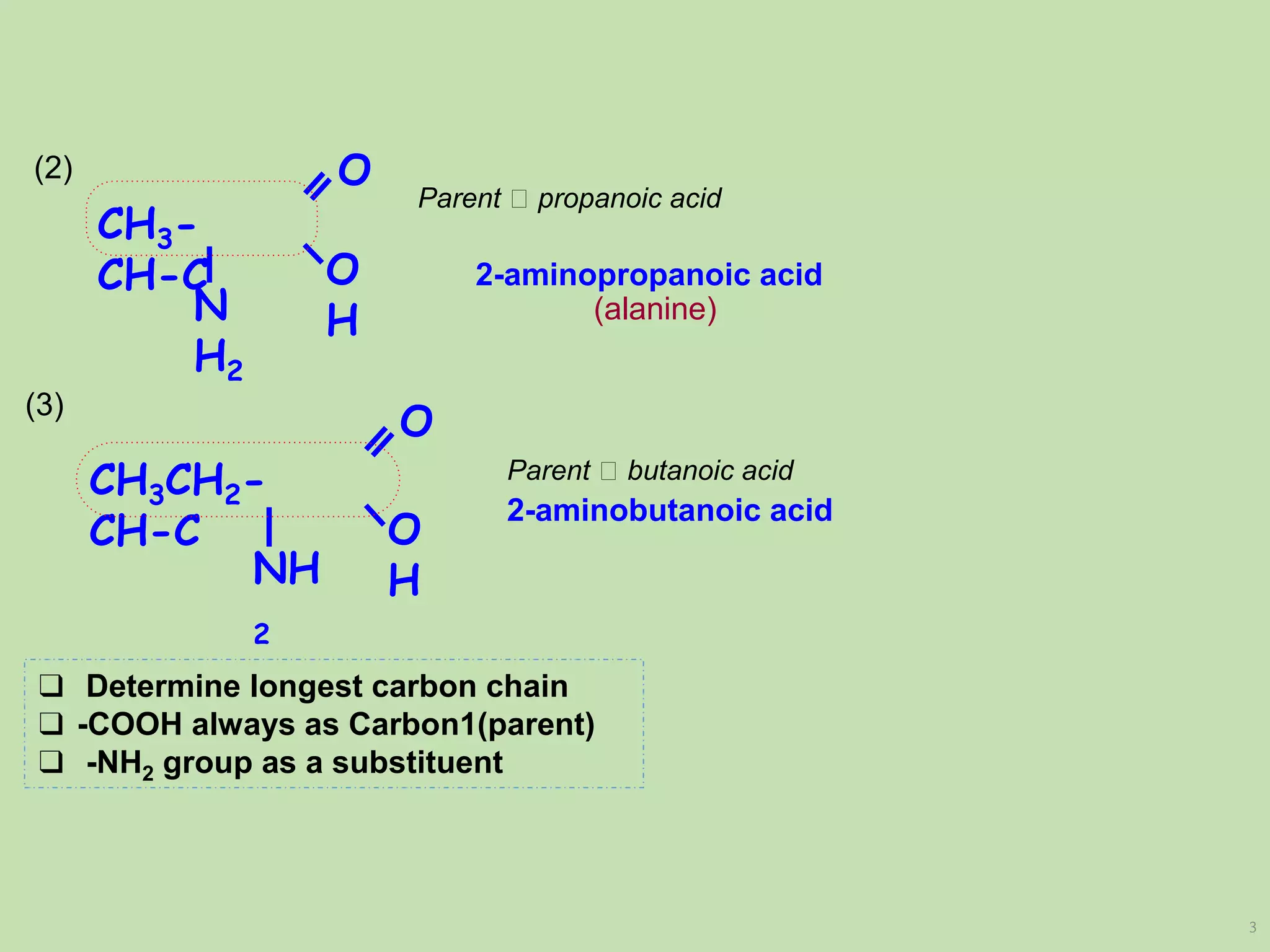 Amino acid 12 .1 dec20 | PPTX
