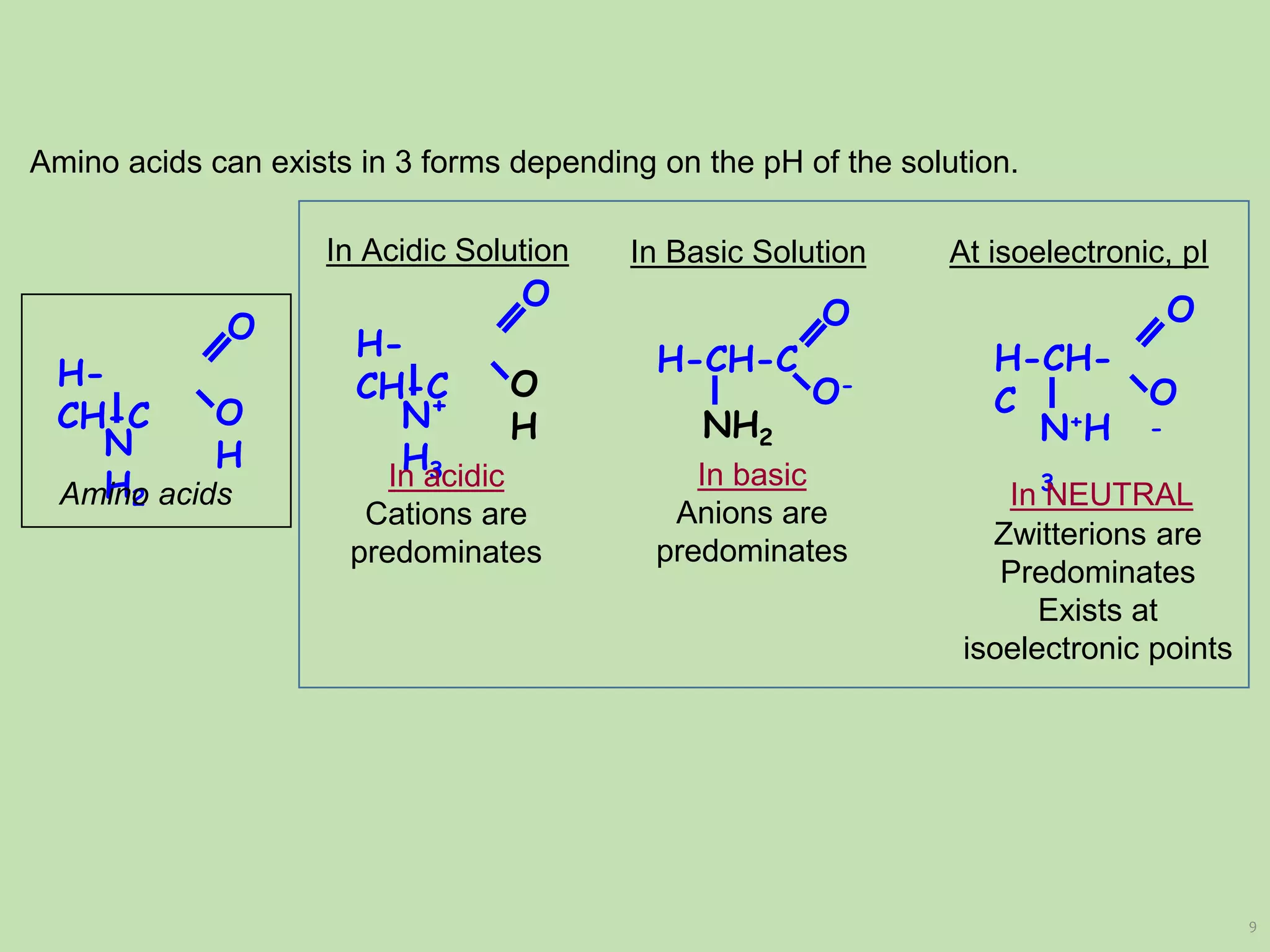 Amino acid 12 .1 dec20 | PPTX