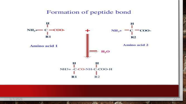 Amino acid ( Introduction, classification, structure, properties ...