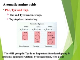 Amino acid and its classification___.ppt