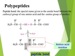 Amino acid and its classification___.ppt