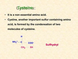 aminoacid and protein chemistry.ppt