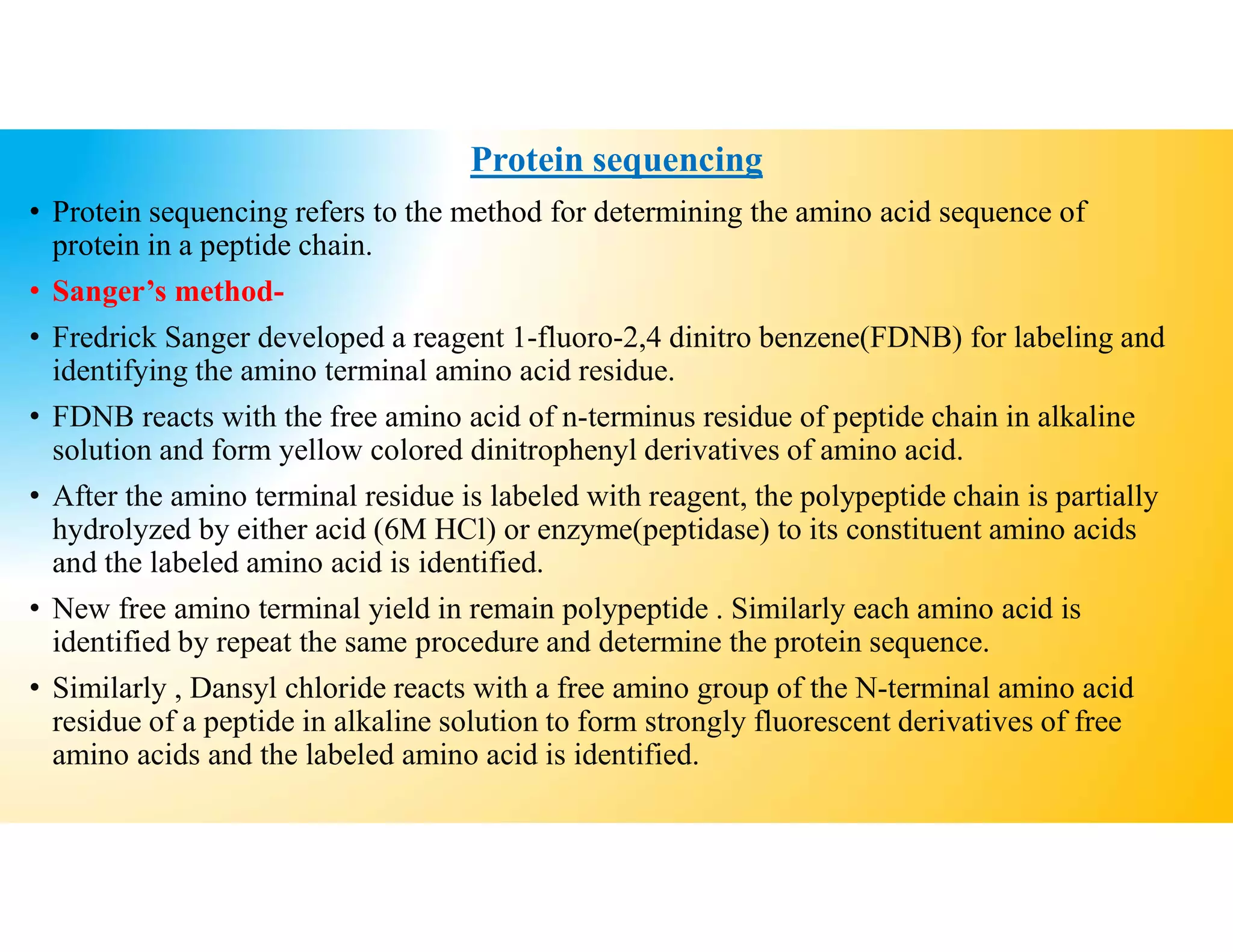 Amino Acid and Proteins.pdf