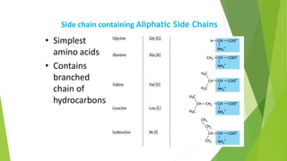 Amino acid and their classification | PPT