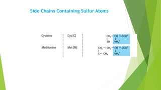 Amino acid and their classification | PPT