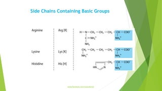 Amino acid and their classification | PPT