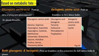 Amino acid (anjali bisen) (1) | PPTX