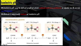 Amino acid (anjali bisen) (1) | PPTX