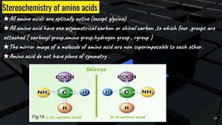 Amino acid (anjali bisen) (1) | PPT