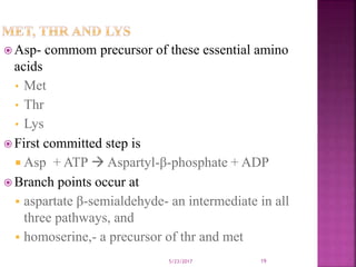 Amino acid biosynthesis grp assignment ppt | PPTX