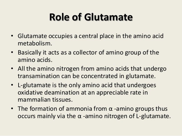Amino acid catabolism- Part-1