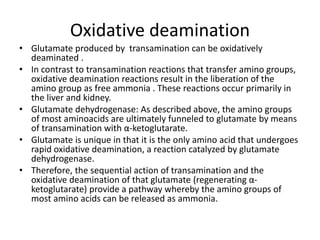 Amino acid catabolism | PPTX