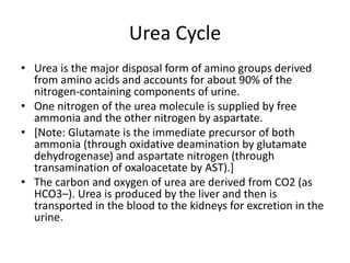 Amino acid catabolism | PPTX