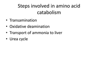 Amino acid catabolism | PPTX