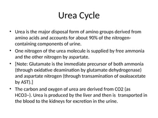 Amino Acid Catabolism: Pathways, Processes, and Significance | PPTX