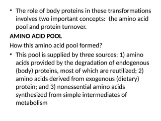 Amino Acid Catabolism: Pathways, Processes, and Significance | PPT