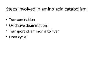 Amino Acid Catabolism: Pathways, Processes, and Significance | PPT