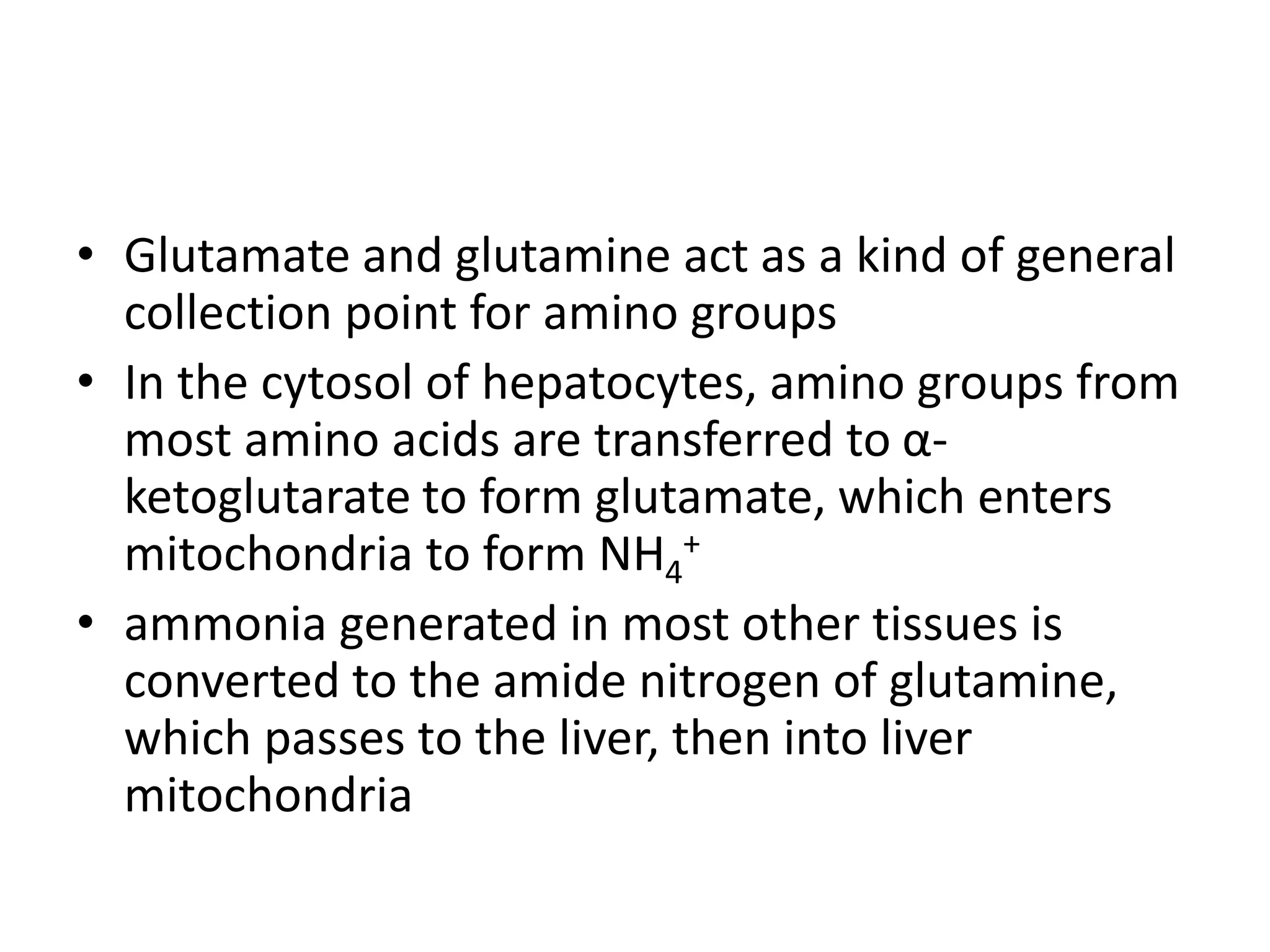 Amino acid catabolism and urea cycle.pptx
