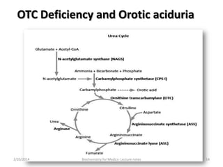 Amino acid catabolism - Part-2 (Urea cycle and clinical significance) | PPT