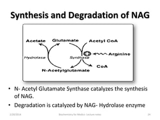 Amino acid catabolism - Part-2 (Urea cycle and clinical significance) | PPT