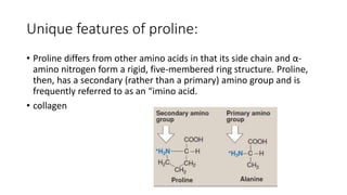 amino acid structure and chemistry .pptx